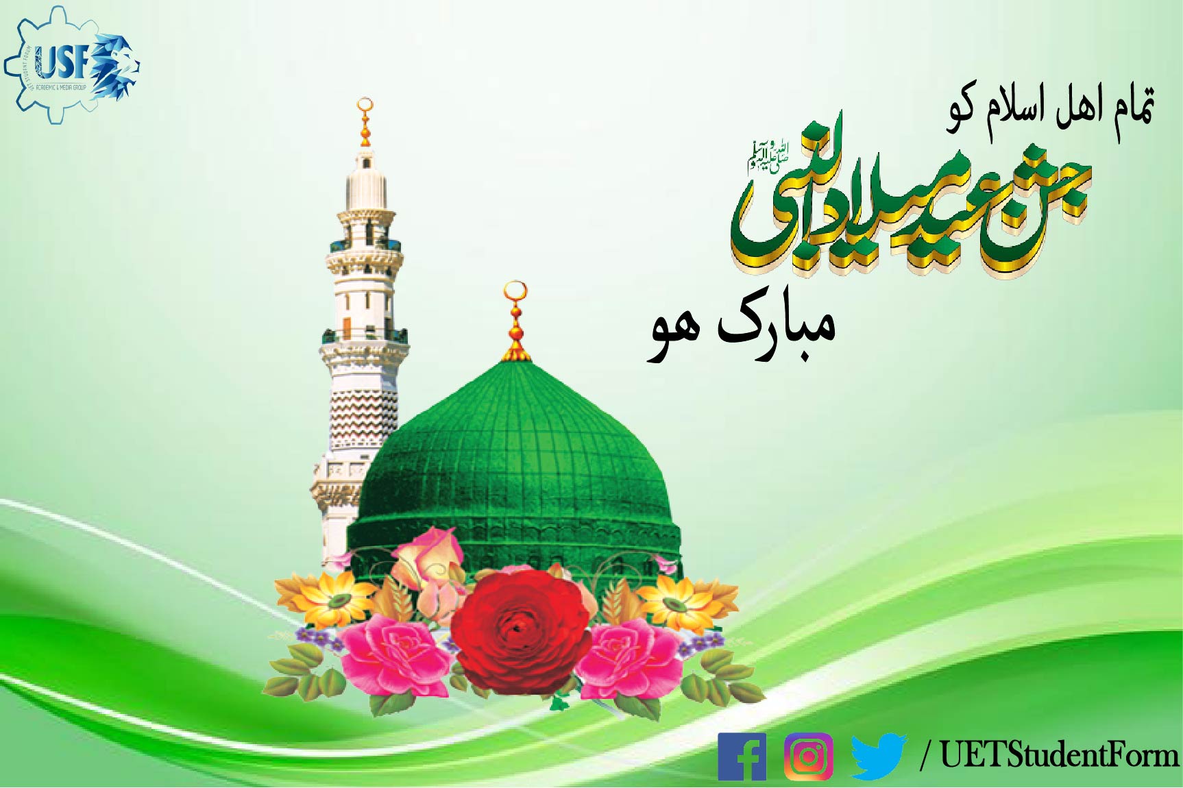 Maham Wajid | Personal Portfolio